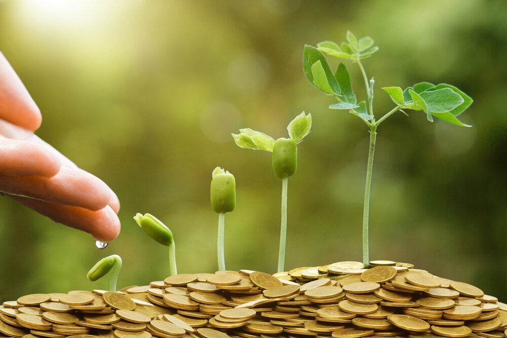 Sustainable Finance Mengacu Pada Proses ESG Danamart Blog